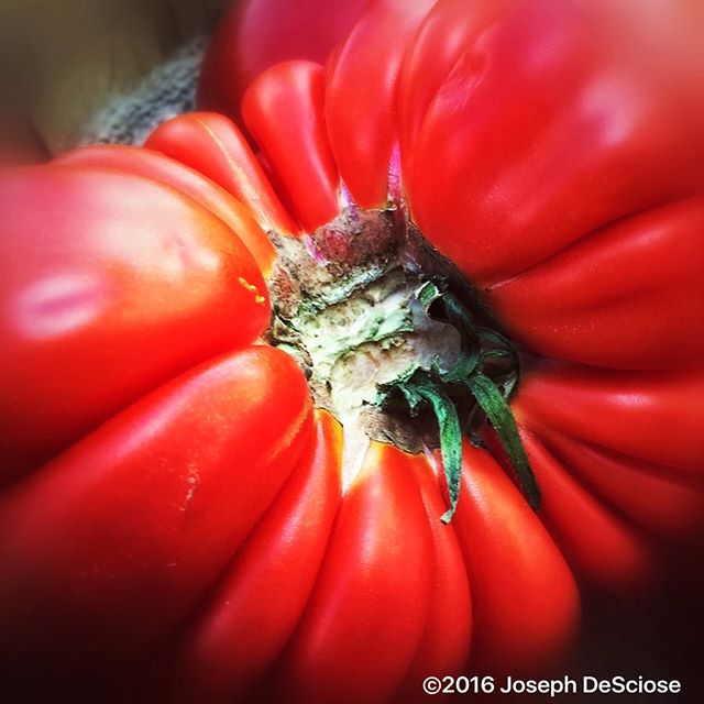 Ripe. #texture #tomato #ripe #garden #texture #ridges #red #fruit # ...