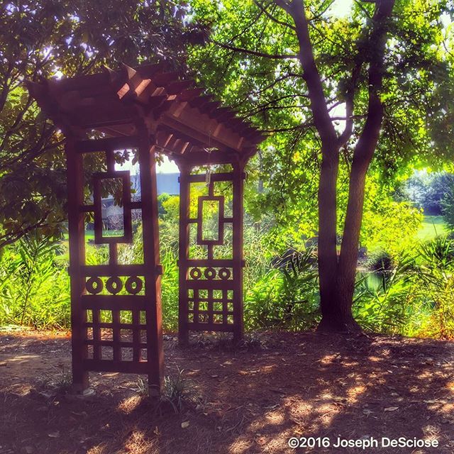 Arbor #garden #textures #hardscape #gate #arbor #trees - Joseph De ...