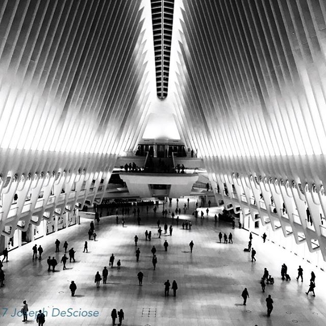 The oculus #nyc #architecture #transportation #space #design #random # ...
